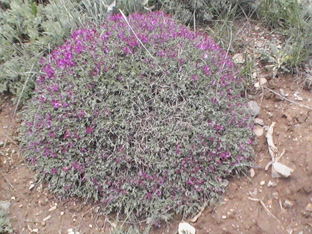 نگهبان کوهستان | صعود به قله دونا